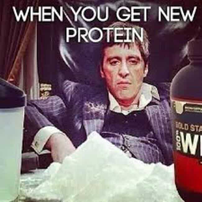 protein memes-10-7-10-2025 - Thunder Dungeon | The Funniest Memes. Period.