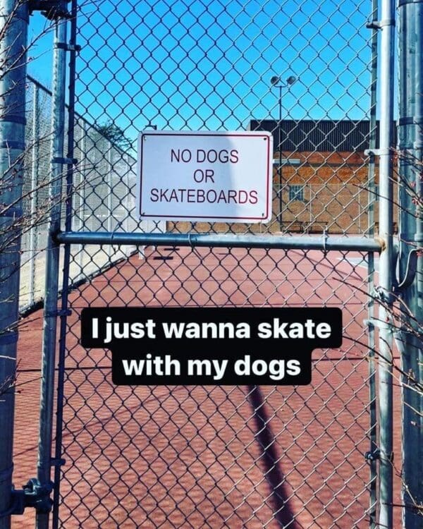 43 Skateboarding Memes For Riders Who Live on Ibuprofen