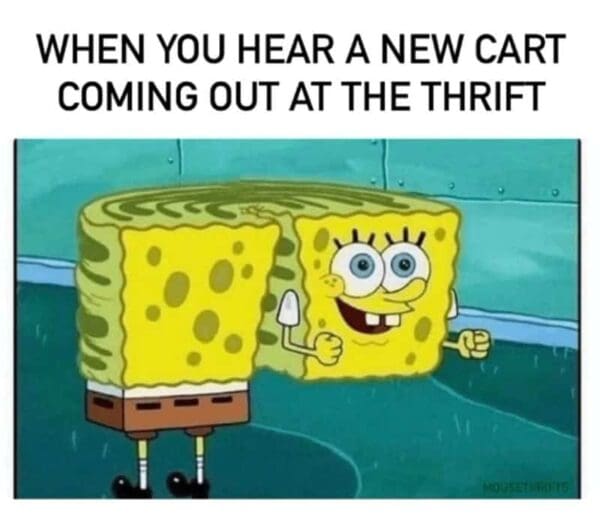 Thrift Store Memes: 35 Gems For Vintage Dumpster Diving