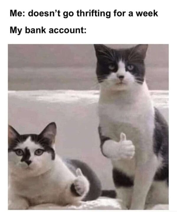 Thrift Store Memes: 35 Gems For Vintage Dumpster Diving