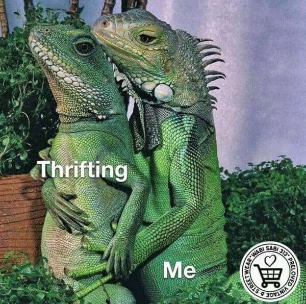 Thrift Store Memes: 35 Gems For Vintage Dumpster Diving