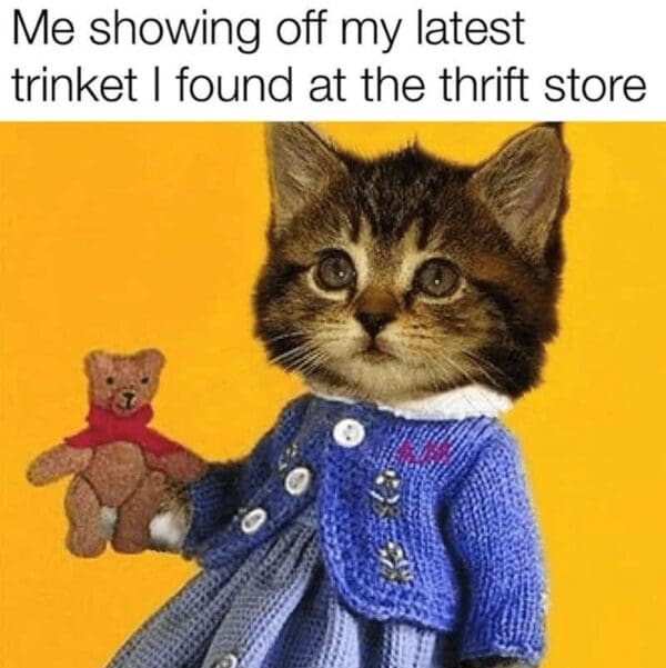 Thrift Store Memes: 35 Gems For Vintage Dumpster Diving