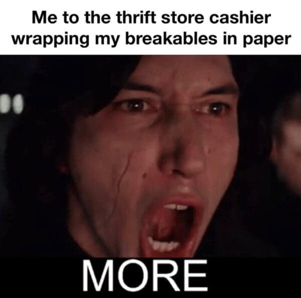 Thrift Store Memes: 35 Gems For Vintage Dumpster Diving