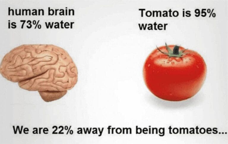 30 Ketchup With Some Hilarious Tomato Memes