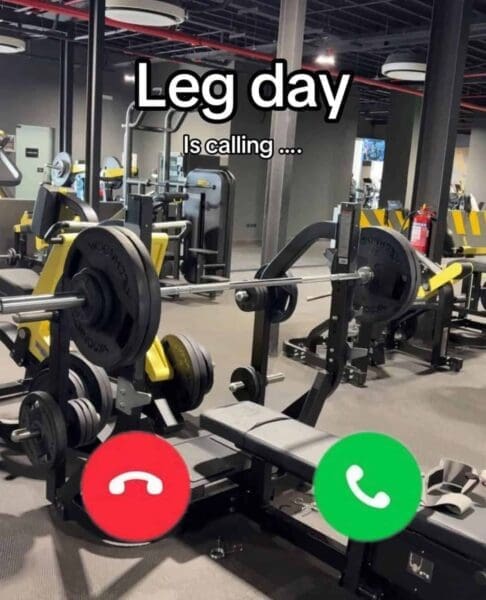 32 Weight Lifting Memes That Lifted My Spirits More Than I Can Lift a ...