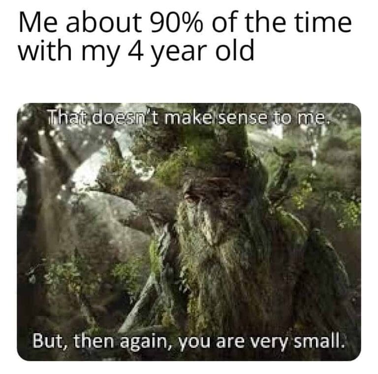 35 Lotr Memes That Rule Them All, Or Mostly Anyway