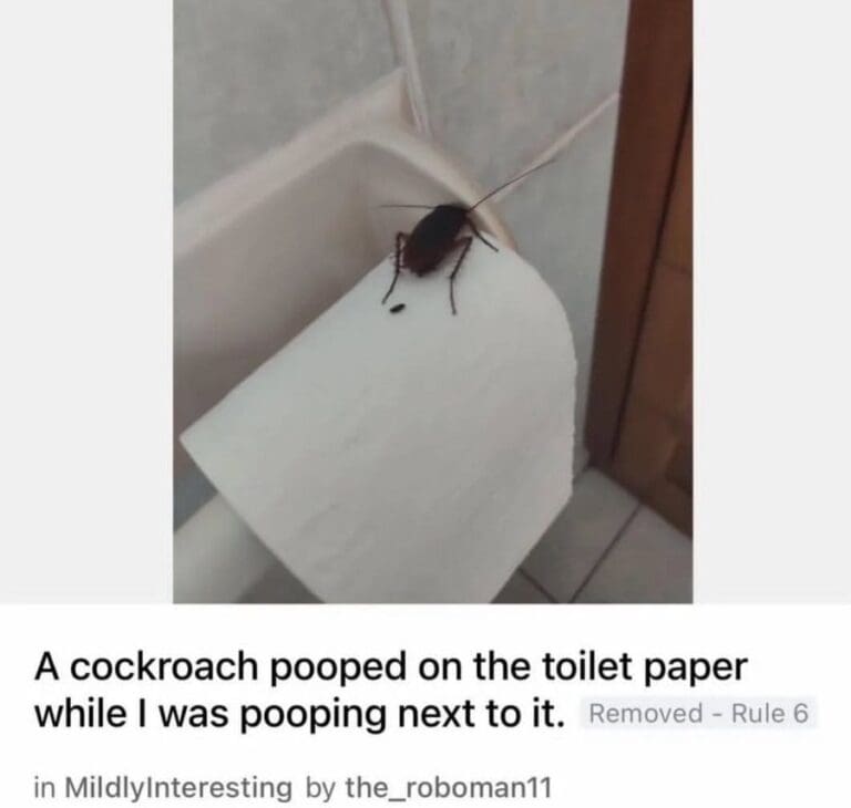 39 Cursed Screenshots Too Unhinged to Explain