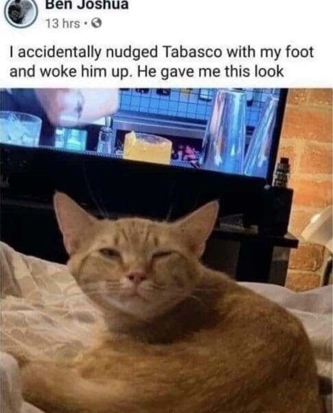 39 Cursed Screenshots Too Unhinged to Explain