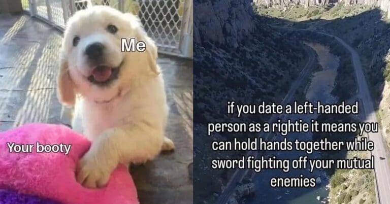 28 Dirty Memes That Are Flirty an Perfect to Send Later