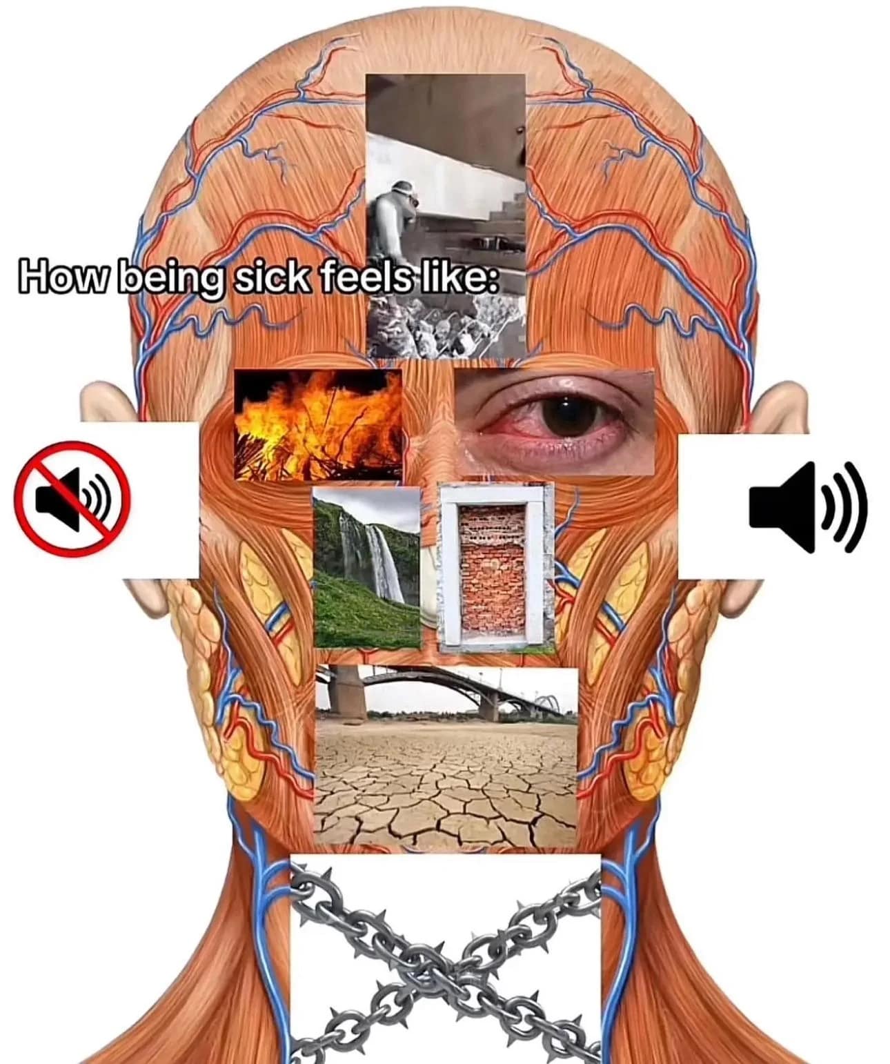 funny memes 2-9-8-22-2025 - Thunder Dungeon | The Funniest Memes. Period.