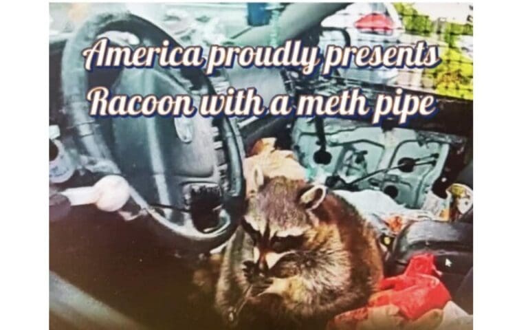 The Nightcap - 30 Nightly Funny Memes You Missed Probably Missed