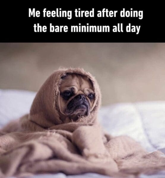 35 Sleepy Memes for People Who Treat Naps Like Appointments