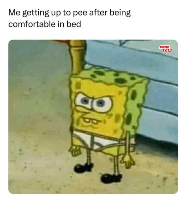 35 Sleepy Memes for People Who Treat Naps Like Appointments