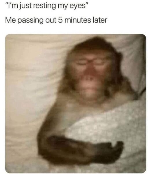 35 Sleepy Memes for People Who Treat Naps Like Appointments