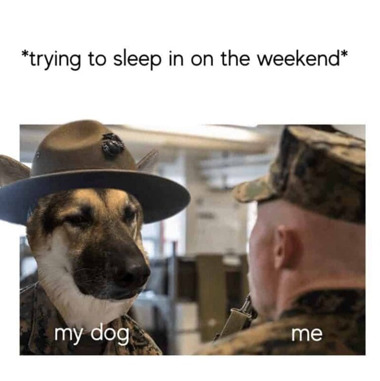 35 Sleepy Memes for People Who Treat Naps Like Appointments