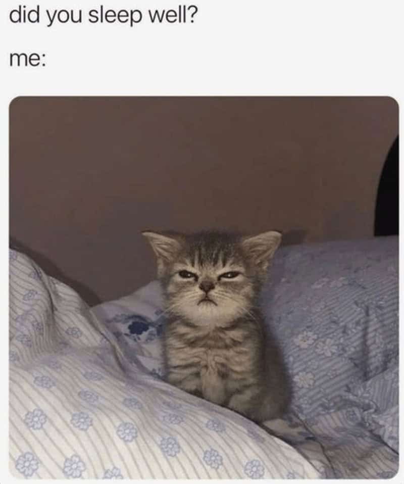 sleepy memes-8-8-26-2025 - Thunder Dungeon | The Funniest Memes. Period.