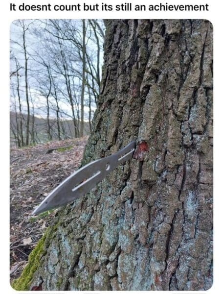 Task Failed Successfully: 43 Epic Fails That Turned into Surprising ...