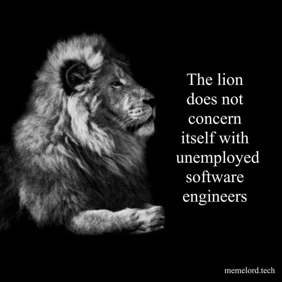 tech bro memes-29-8-2-2025 - Thunder Dungeon | The Funniest Memes. Period.