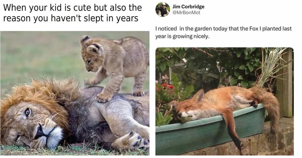 29 Coding Memes That Hit Harder Than Debugging Errors