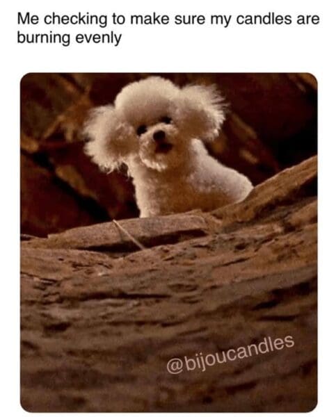 30 Candle Memes For People Who Budget For Scents Like Rent