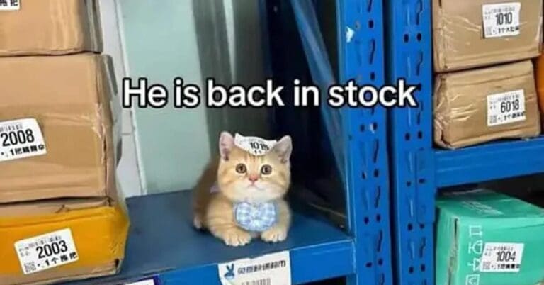 22 IT Memes That Will Have You Laughing Through Your Next System Crash