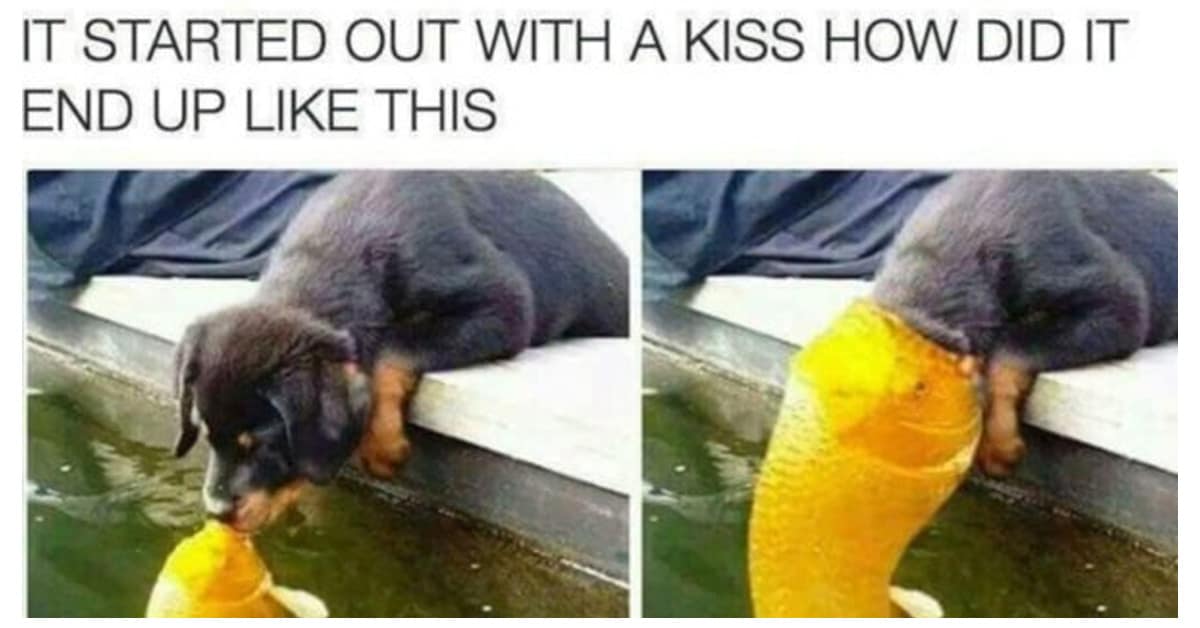 25 Classic Memes You Need To Revisit Right Now