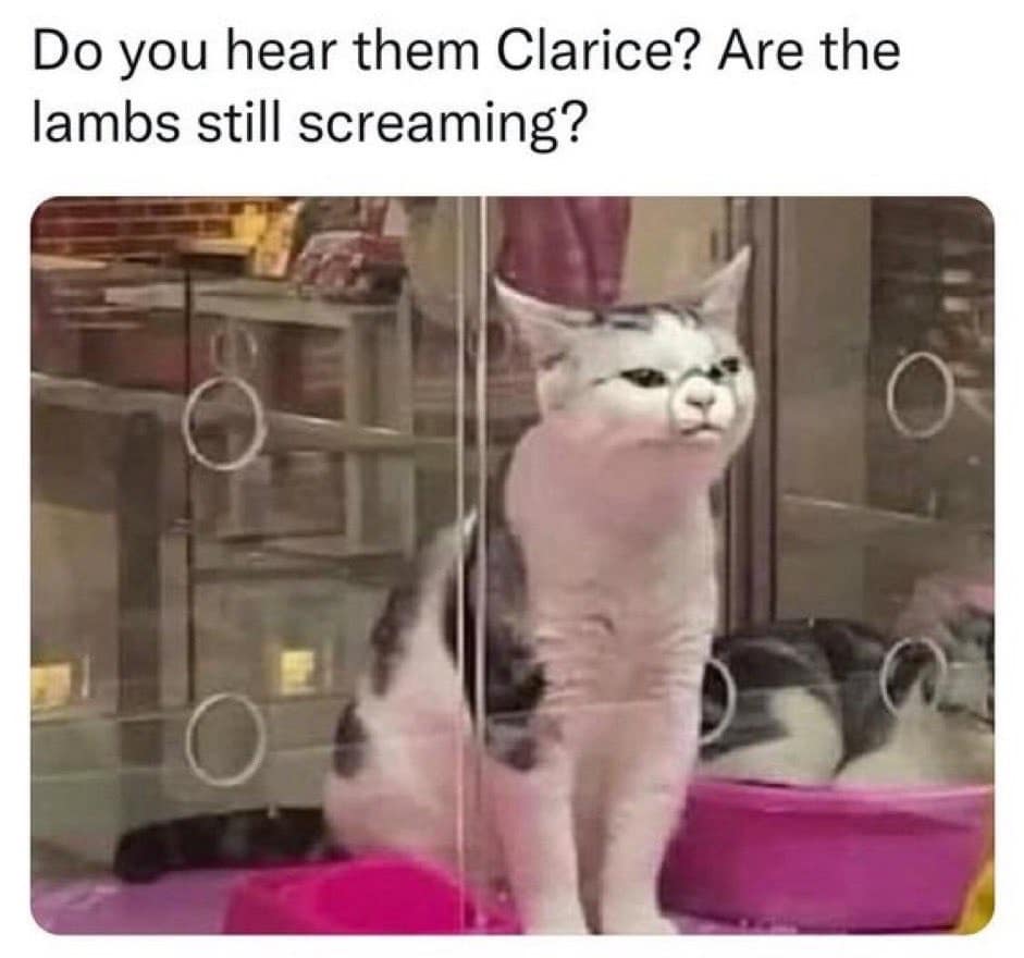 classic memes-21-20250929 - Thunder Dungeon | The Funniest Memes. Period.