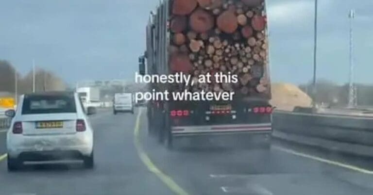 Google AI Search Memes: 23 Outrageous Answers from Overview