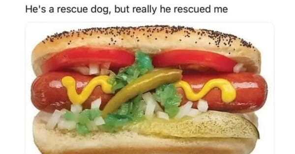 35 Food Memes To Gear You Up For Lunch