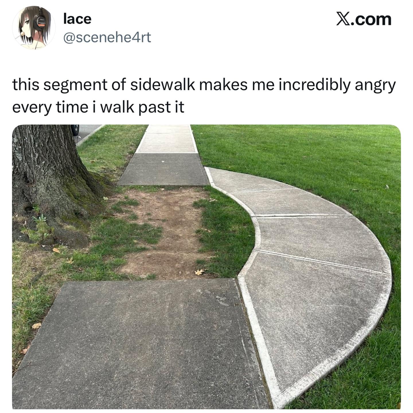 funny memes 1-4-9-19-2025 - Thunder Dungeon | The Funniest Memes. Period.