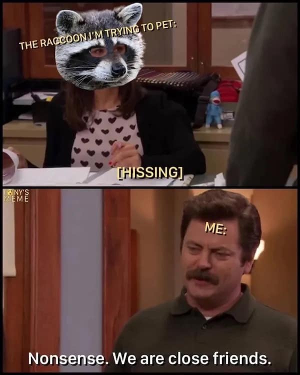 funny memes-11-9-2-2025 - Thunder Dungeon | The Funniest Memes. Period.