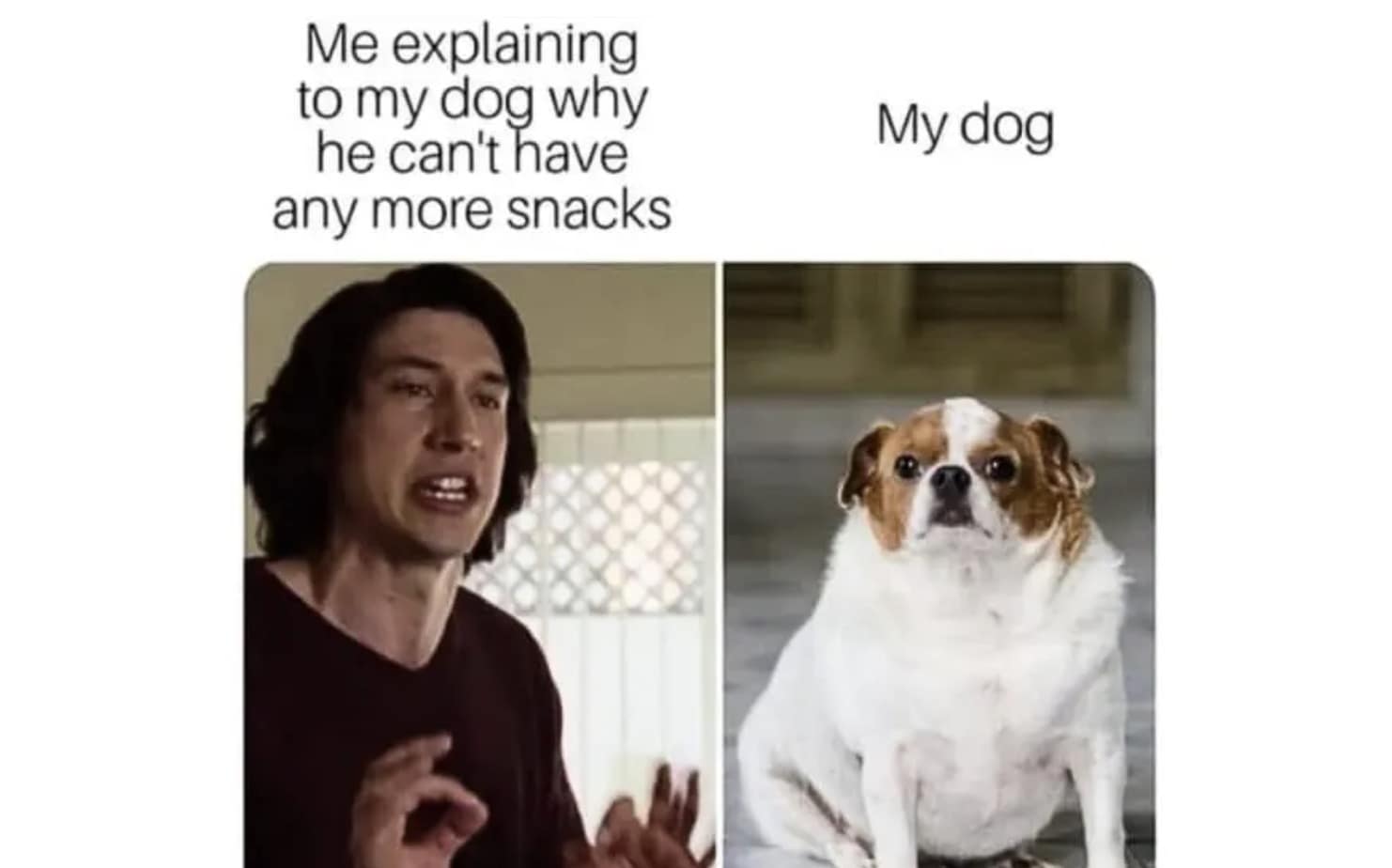 funny memes featured sep 2 - Thunder Dungeon | The Funniest Memes. Period.