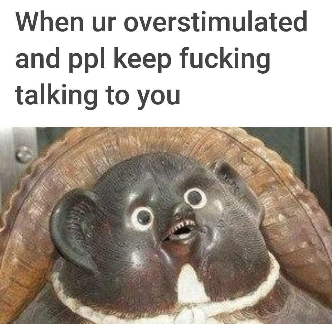 funny pics-13-9-24-2025 - Thunder Dungeon | The Funniest Memes. Period.