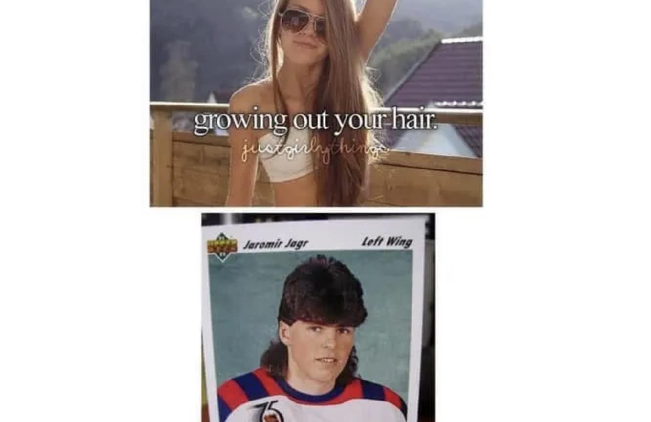 38 Hilarious Panda Memes Perfect for Introverts Everywhere