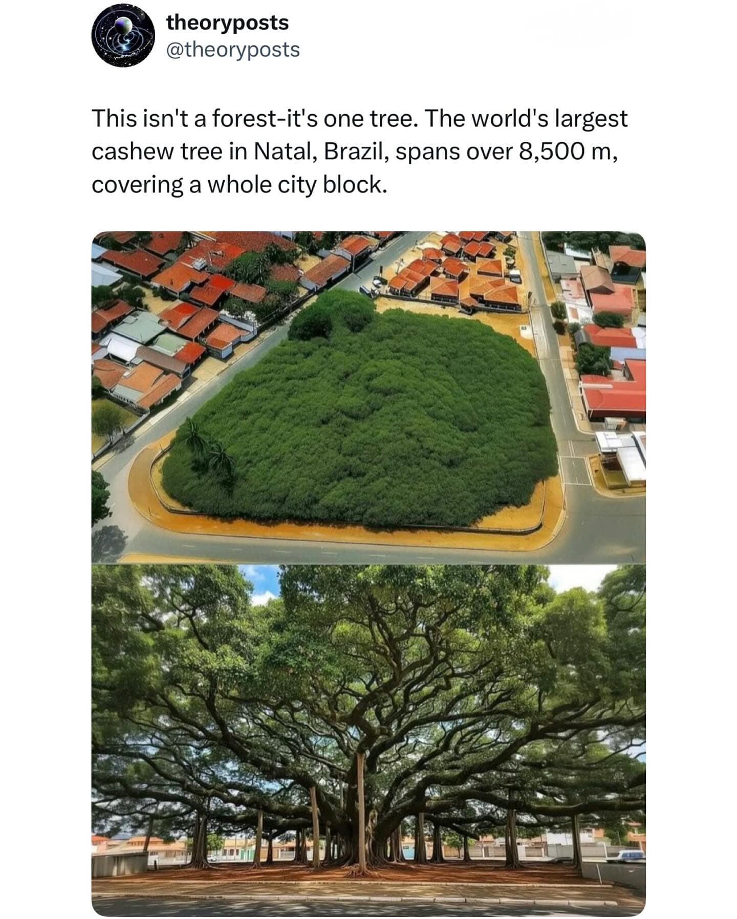 meme dump-01-13-20250912 - Thunder Dungeon | The Funniest Memes. Period.