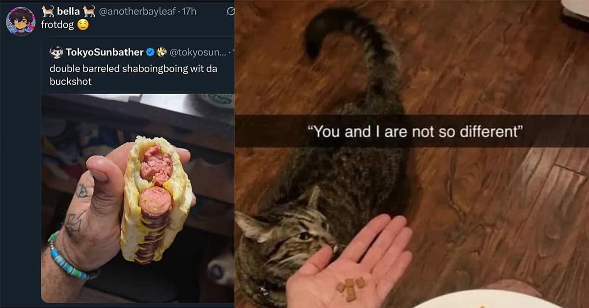 38 Hilarious Panda Memes Perfect for Introverts Everywhere