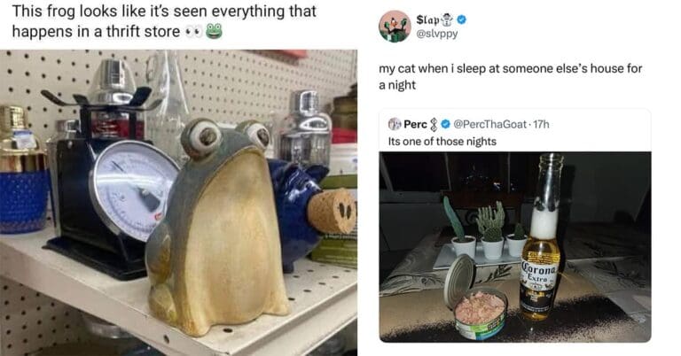 34 Mansplaining Memes That Are About Men Explaining Things... Hence Man ...