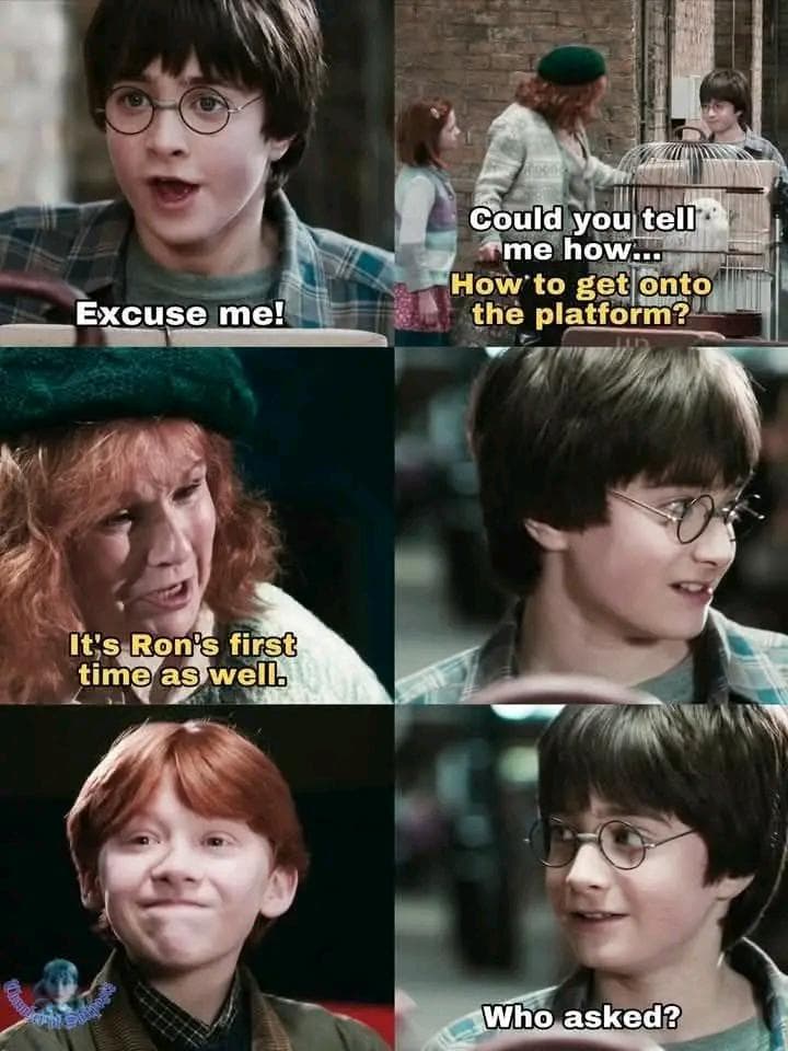 potter memes-17-8-27-2025 - Thunder Dungeon | The Funniest Memes. Period.