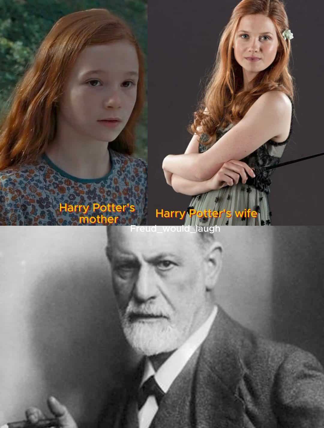 potter memes-3-8-27-2025 - Thunder Dungeon | The Funniest Memes. Period.