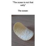 30 Salt Memes For Lightly Seasoned Laughs