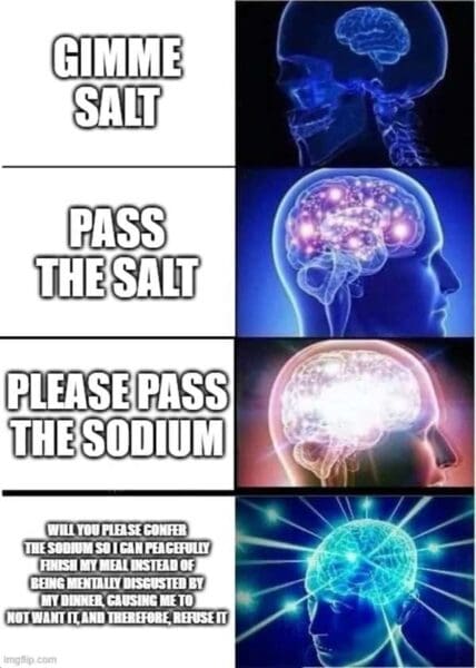 30 Salt Memes For Lightly Seasoned Laughs