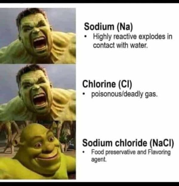 30 Salt Memes For Lightly Seasoned Laughs