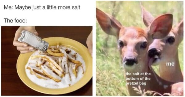 30 Salt Memes For Lightly Seasoned Laughs