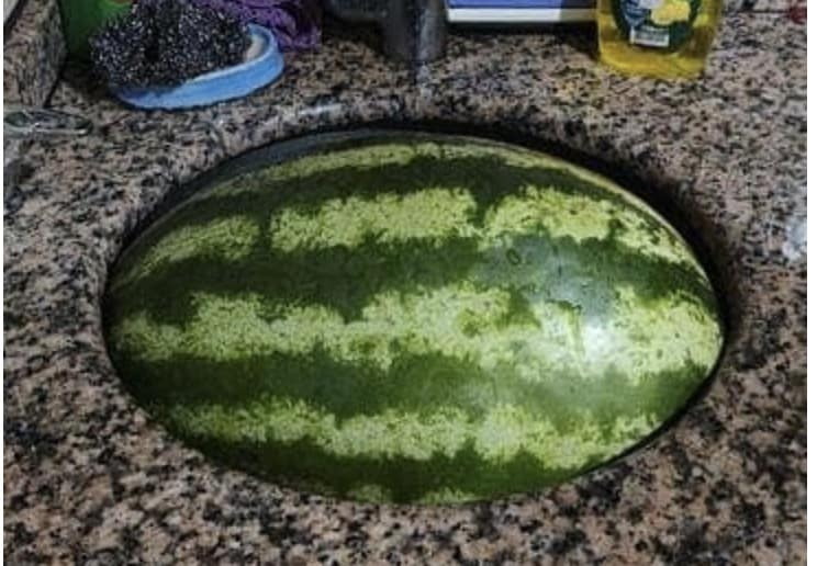 35 Derpy Animals Who Turned the Derp All the Way to 11... Maybe Even 12