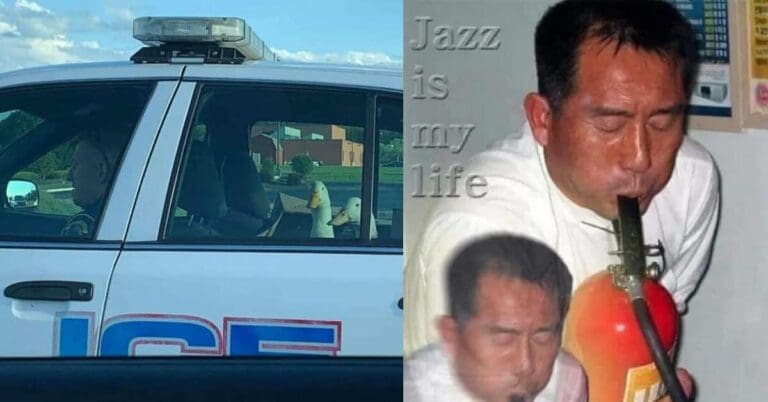 45 Weird Photos With No Context For Confused Giggles
