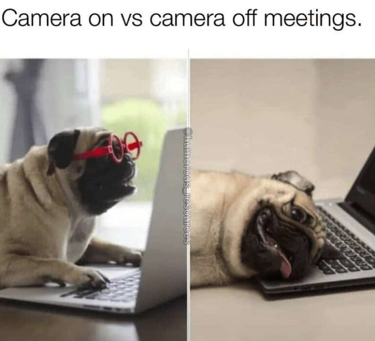 40 Work From Home Meme Classics to Power the Couch Office