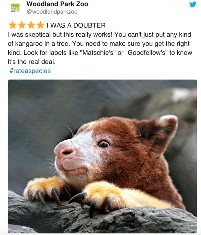 zoo animal ratings-22-9-12-2025 - Thunder Dungeon | The Funniest Memes ...
