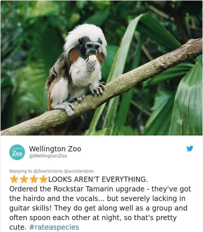 zoo animal ratings-35-9-12-2025 - Thunder Dungeon | The Funniest Memes ...