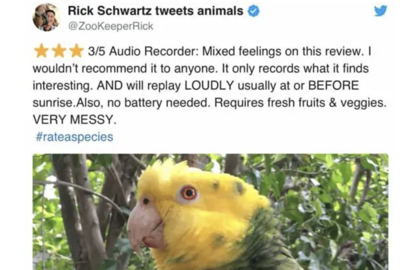 We're All Going to Heck: 45 Hilariously Inappropriate Memes