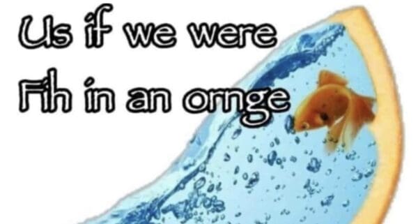 50 Emo Memes That'll Make You Grab Your Fingerless Gloves